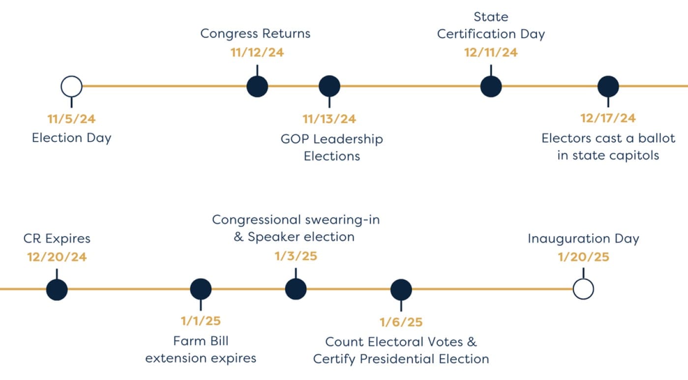 2024 Election Report | Torrey Advisory Group